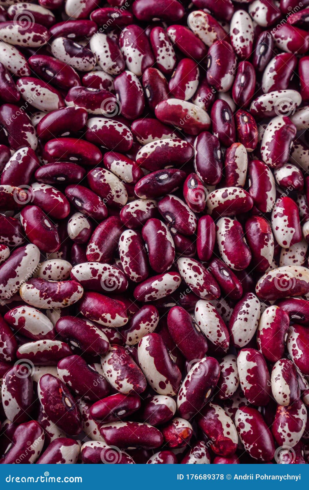 Fresh Organic Natural Beans on a White Background Stock Photo - Image ...