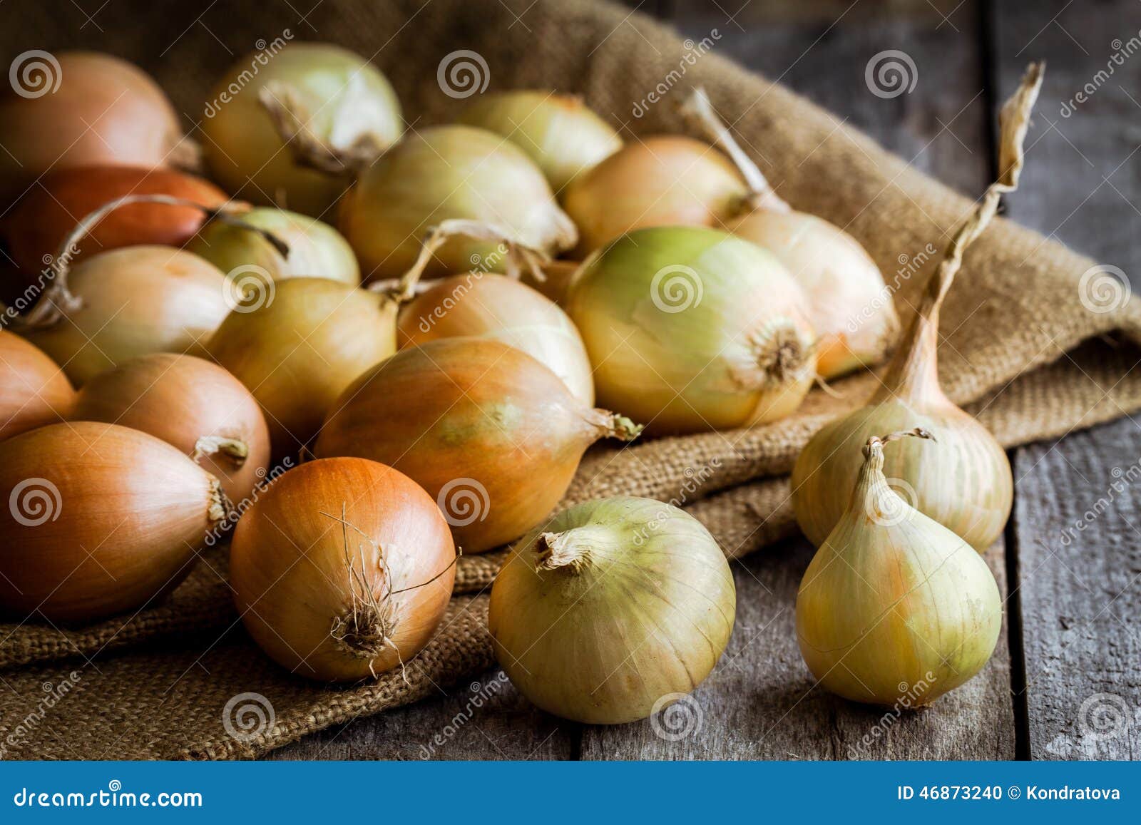 Fresh organic onions stock photo. Image of ingredient - 46873240
