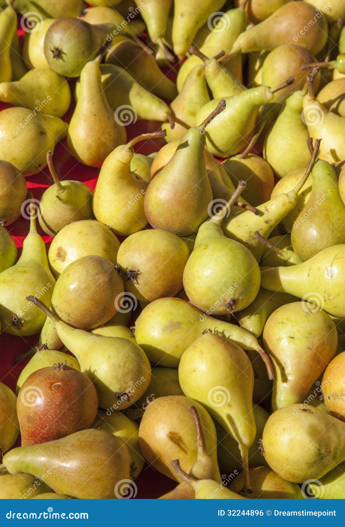 Fresh organic pears stock photo. Image of market, healthy - 32244896