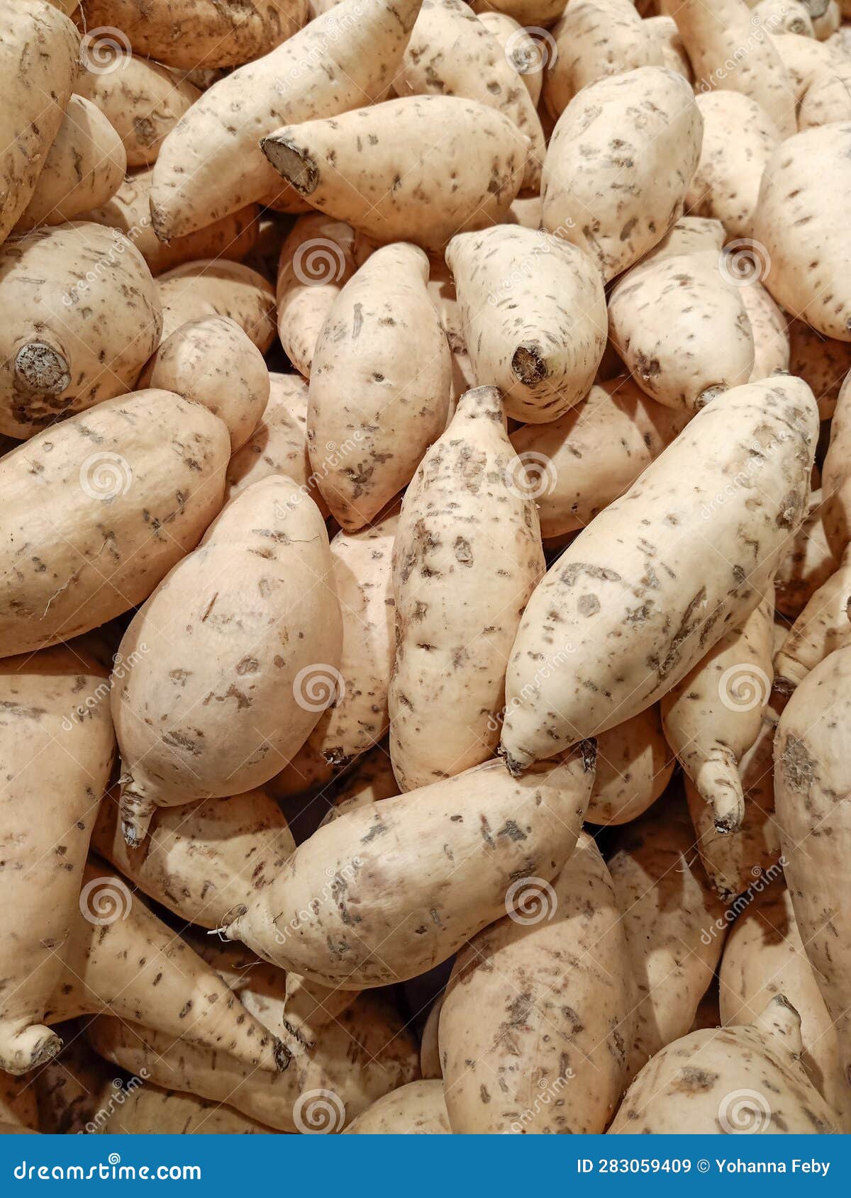 Fresh Organic Potatoes with Close-up Potato Texture. Stock Image ...