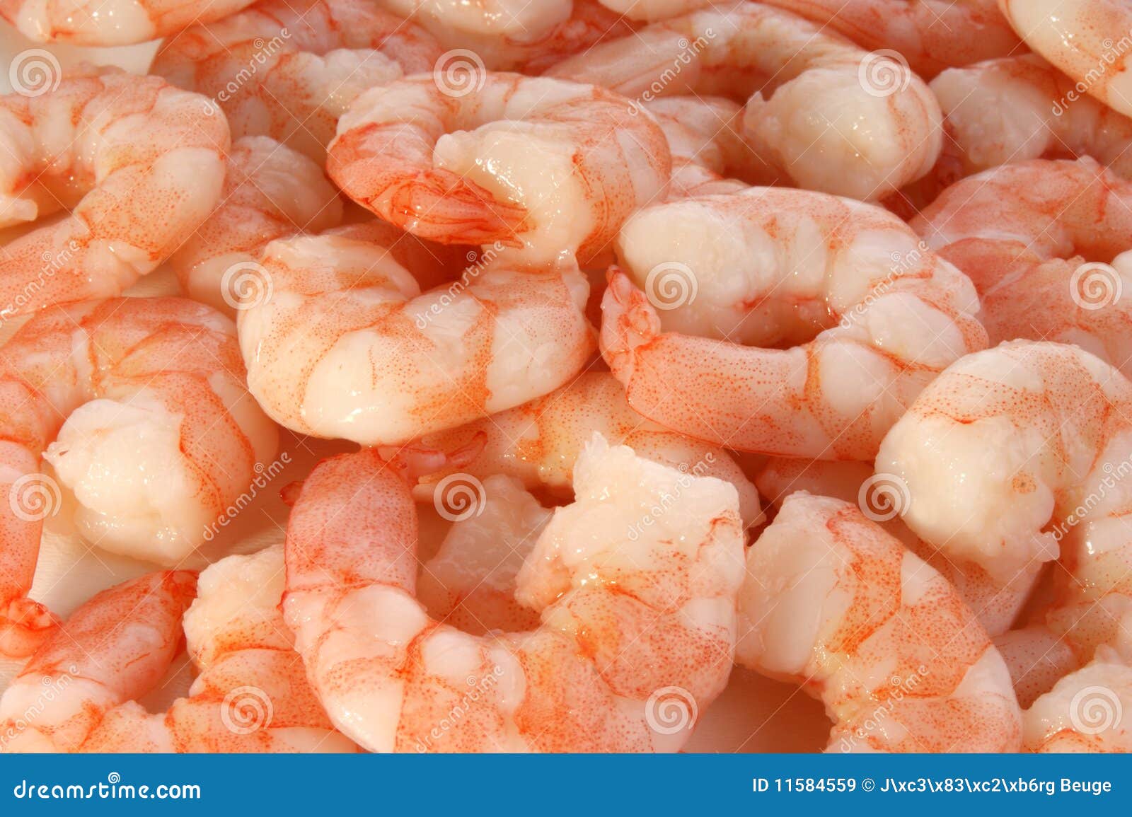 Fresh Organic Prawns Ready To Eat Stock Image - Image of fish ...
