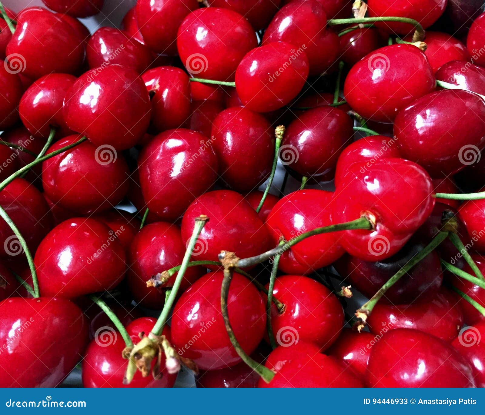 Fresh Organic Red Cherries with Stems Stock Image - Image of picked ...