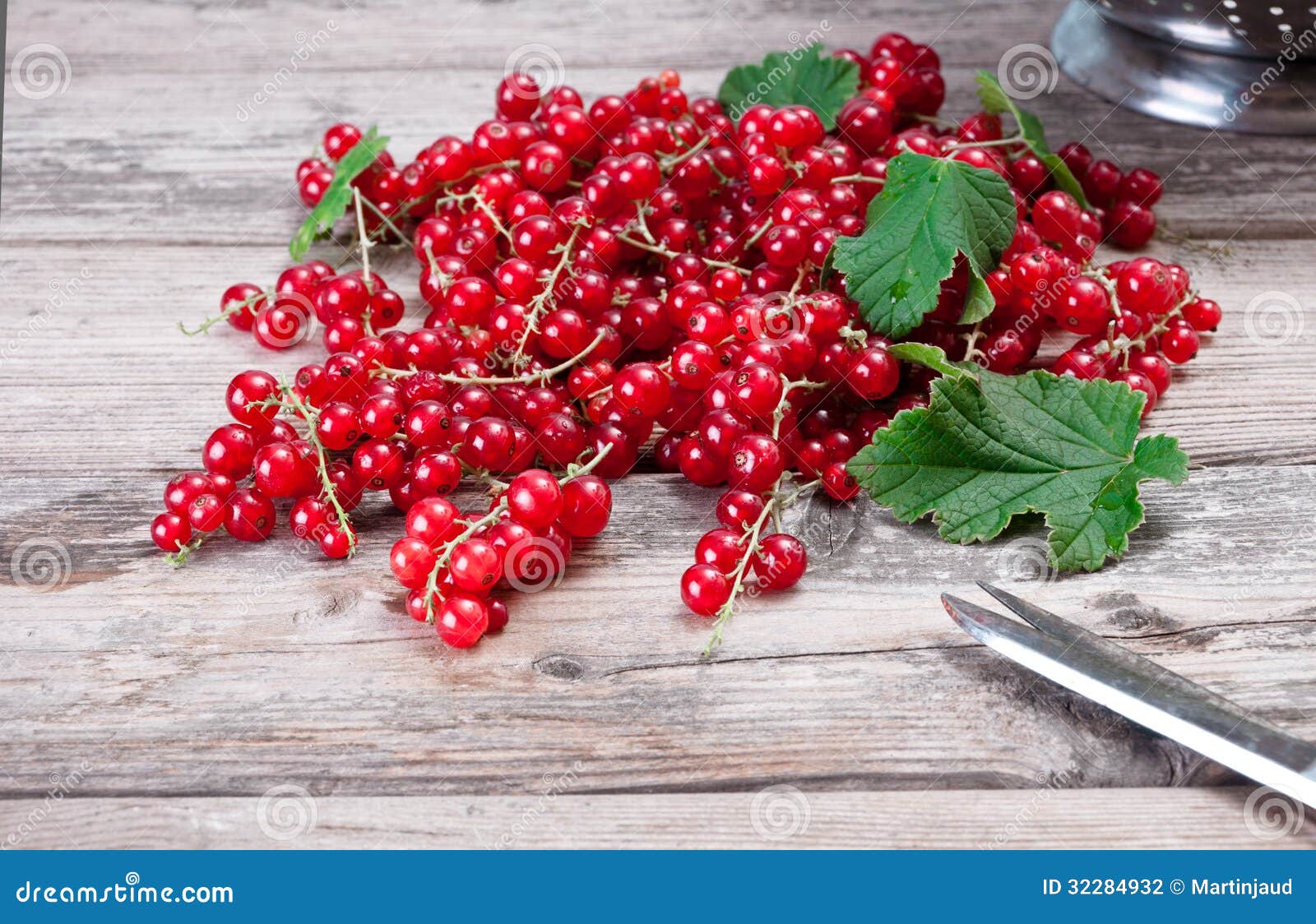 Fresh organic red currants stock photo. Image of bunch - 32284932
