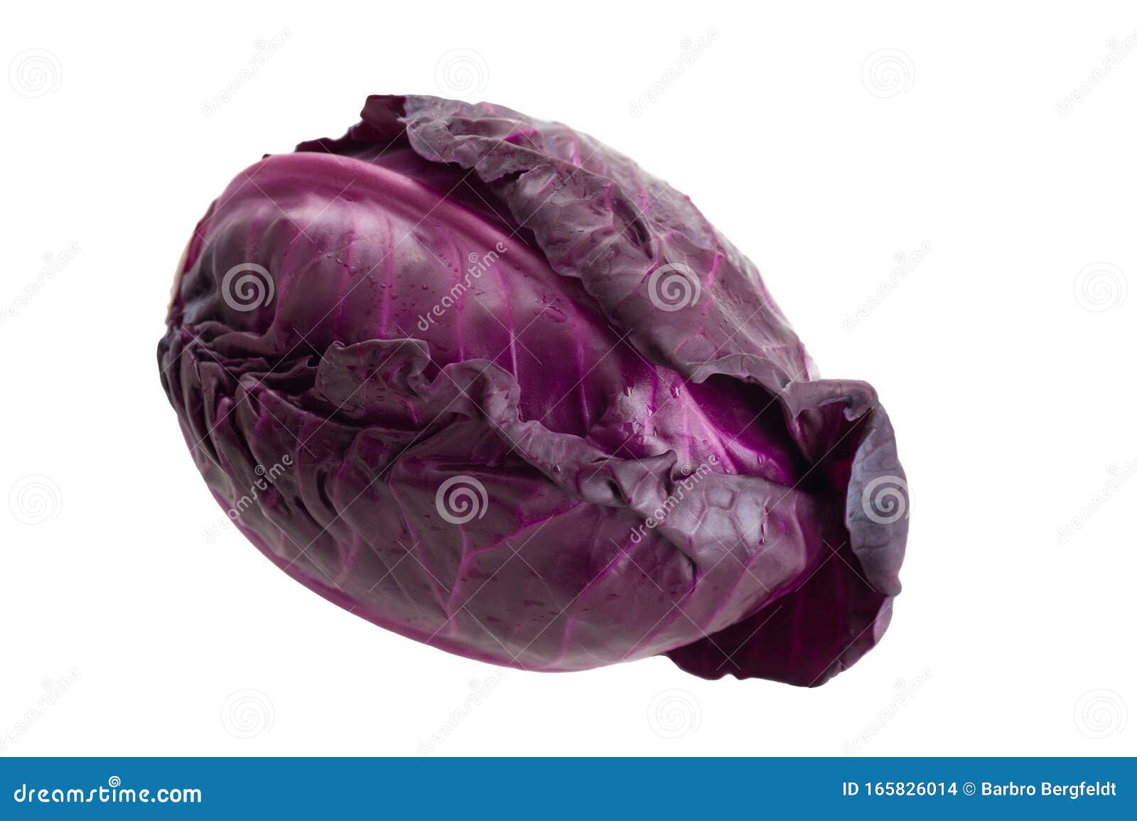 Fresh Organic Red Pointed Cabbage Stock Photo - Image of fresh, pointed ...