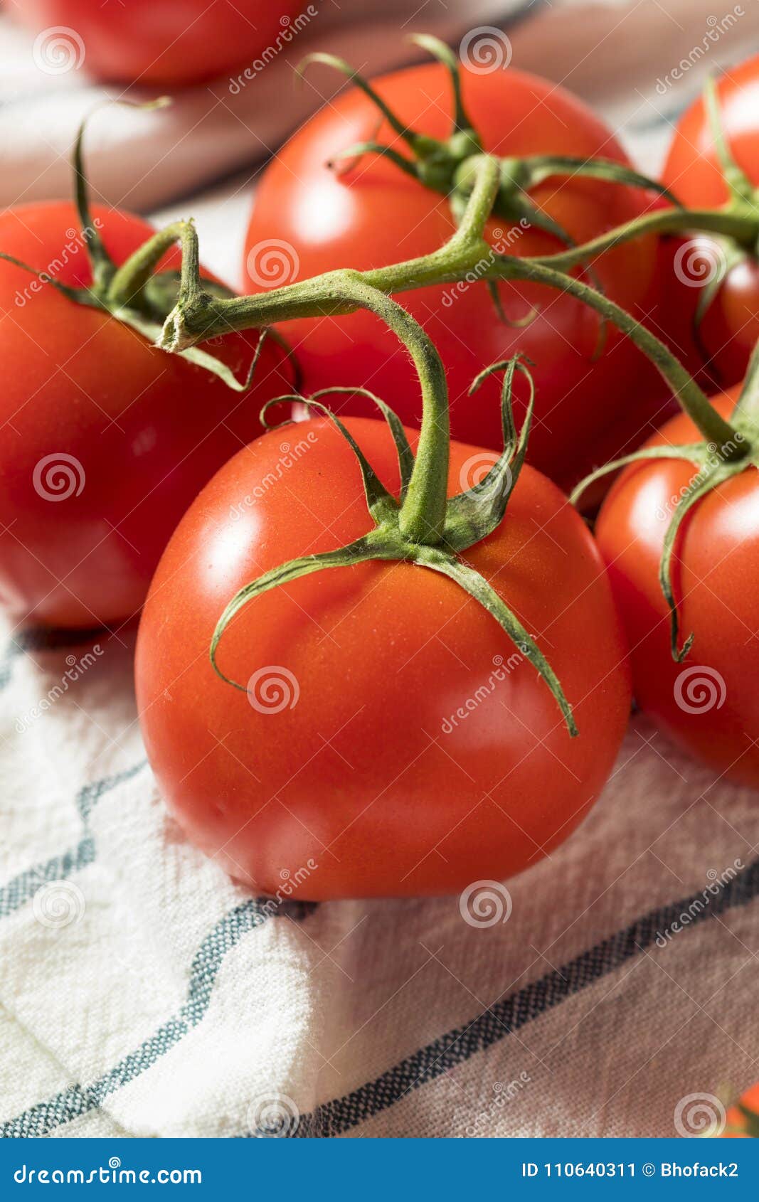 Fresh Organic Red Tomatoes stock image. Image of ingredient - 110640311