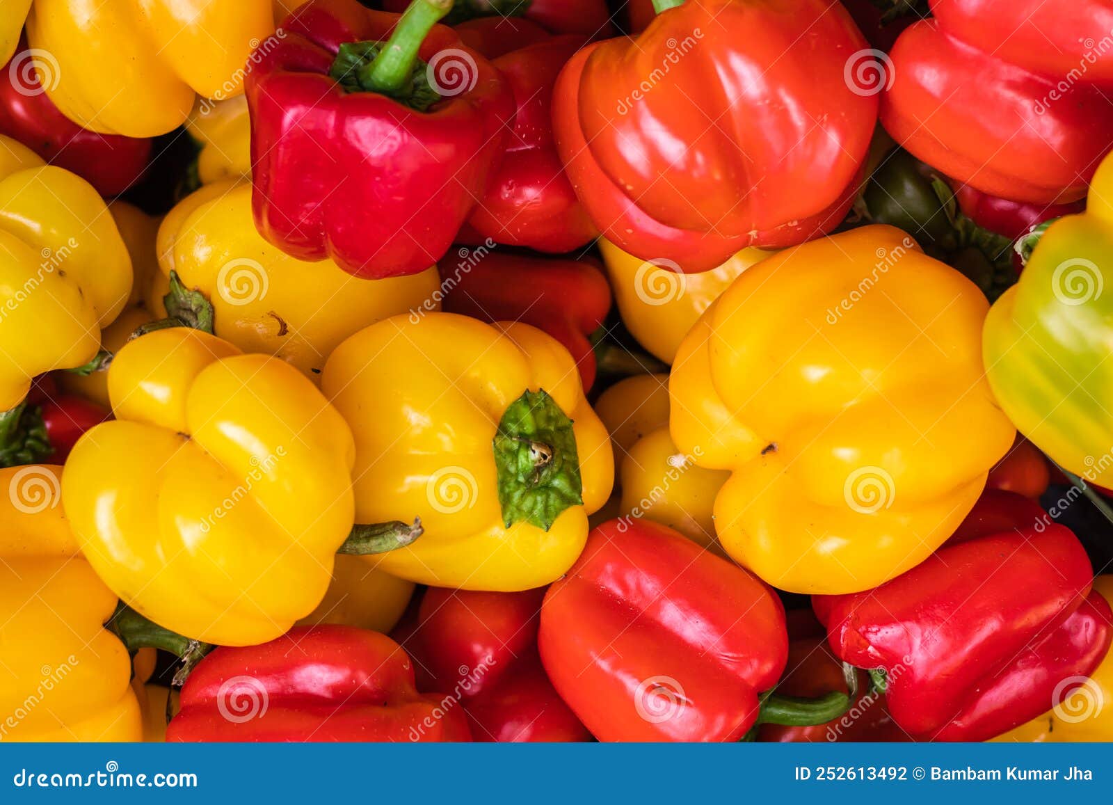 Fresh Organic Red and Yellow Capsicum from Farm Close Up from Different ...
