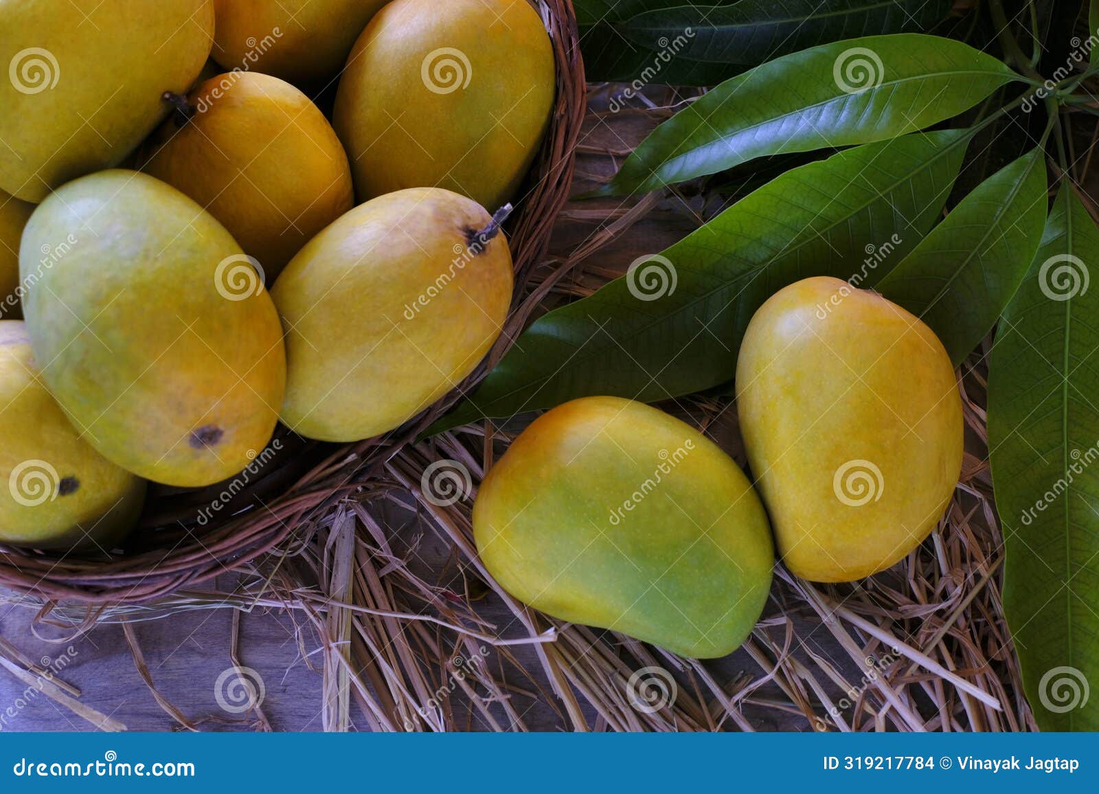 Fresh Organic Ripe Mango Fruit with Leaves Stock Photo - Image of ...