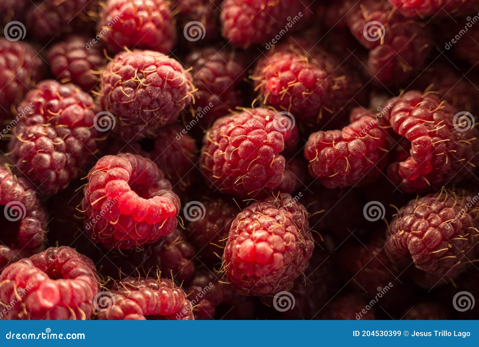 Fresh Organic Ripe Raspberry - Forest Fruit Stock Image - Image of ...