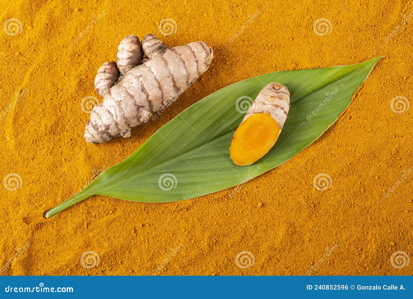 Fresh Organic Root and Turmeric Powder - Curcuma Longa Stock Photo ...