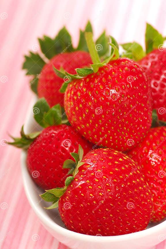 Fresh organic strawberries stock photo. Image of agriculture - 14520476
