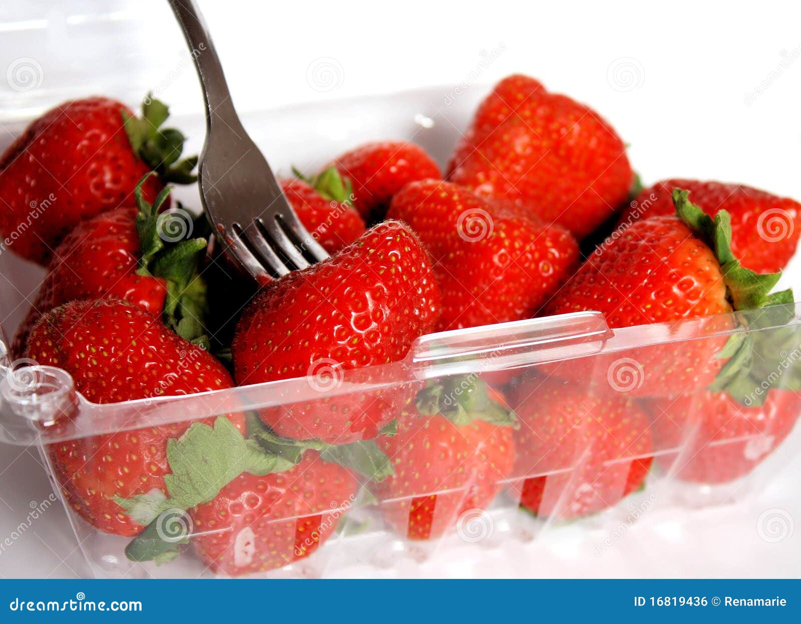Fresh Organic Strawberries stock photo. Image of farm - 16819436