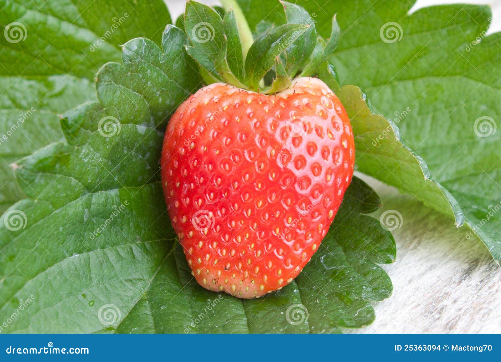 Fresh organic strawberries stock photo. Image of nature - 25363094