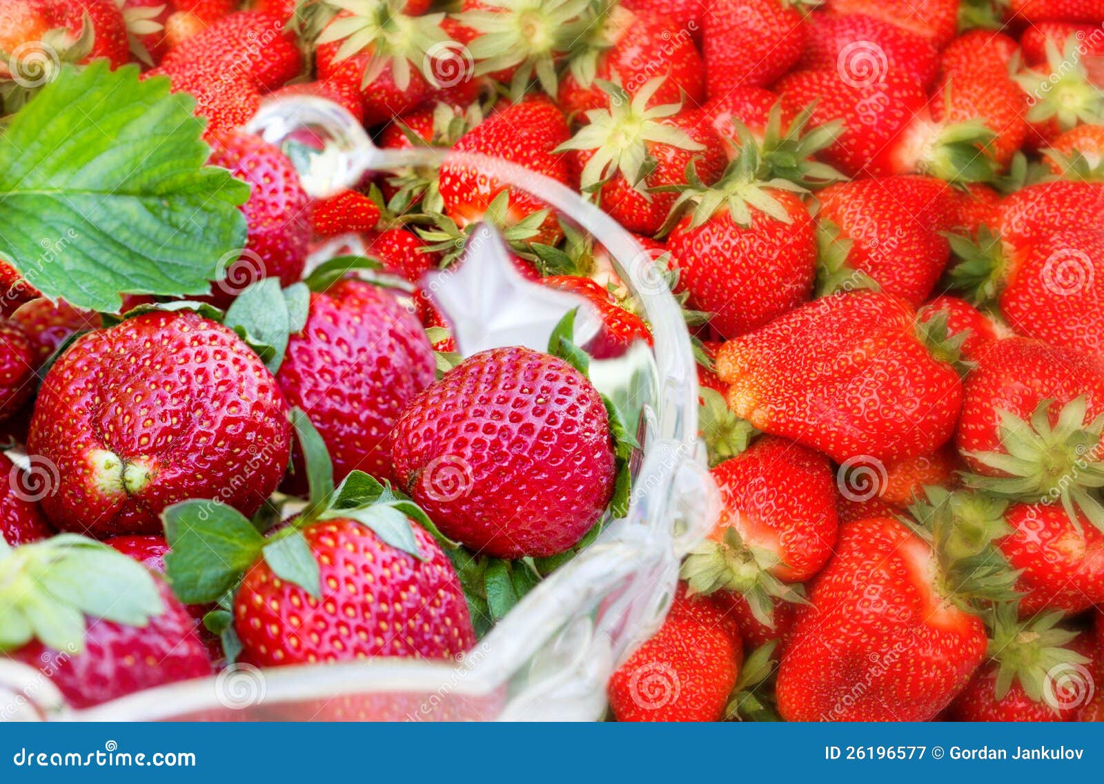 Fresh organic strawberries stock image. Image of organic - 26196577