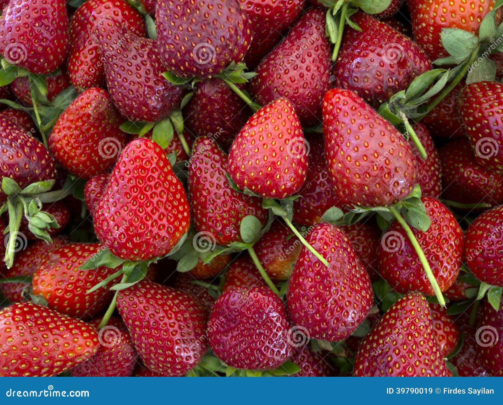 Fresh organic strawberries stock image. Image of healthy - 39790019