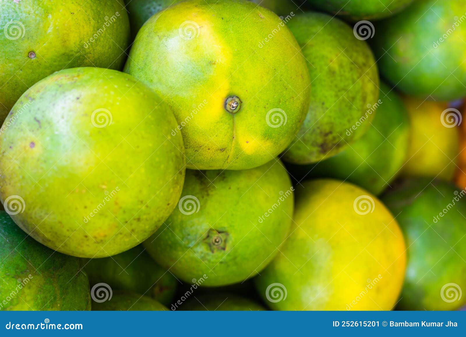 Fresh Organic Sweet Lime from Farm Close Up from Different Angle Stock ...