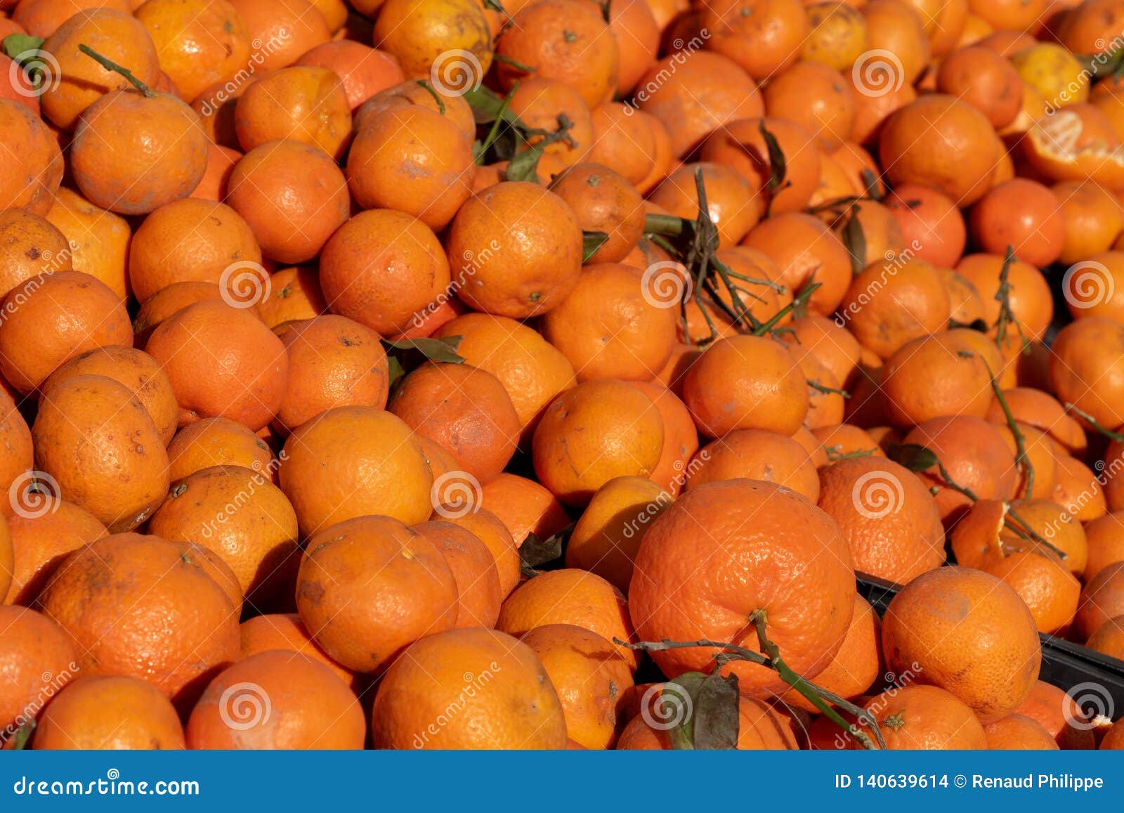 Fresh Organic Tangerines on the Market Stock Photo - Image of fruit ...