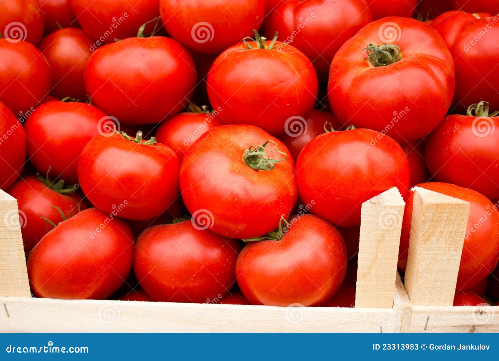 Fresh Organic Tomato in Crates Stock Image - Image of tomato, organic ...