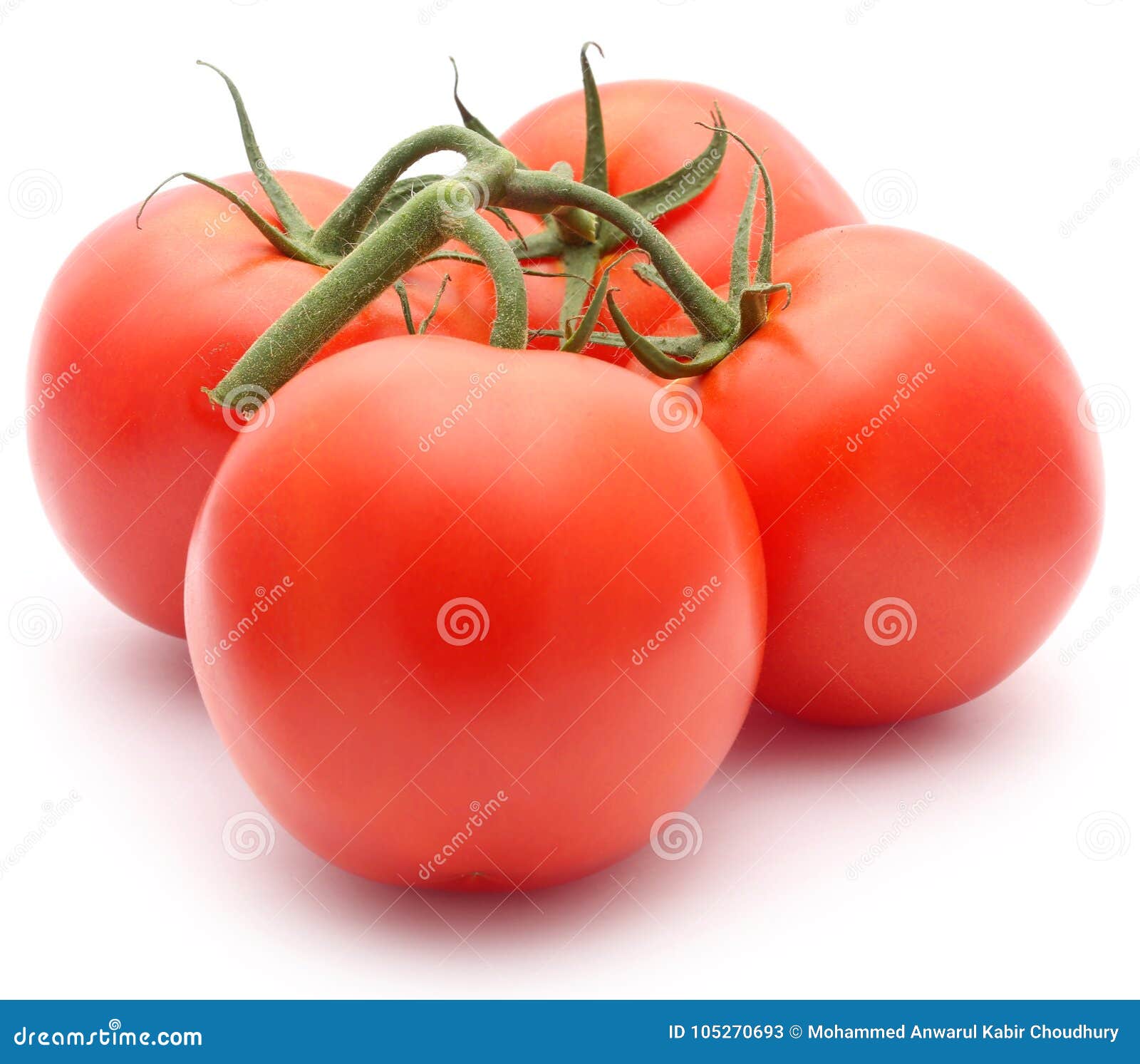 Fresh organic tomato stock image. Image of closeup, sweet - 105270693 Fresh organic tomato stock image. Image of closeup, sweet - 105270693
