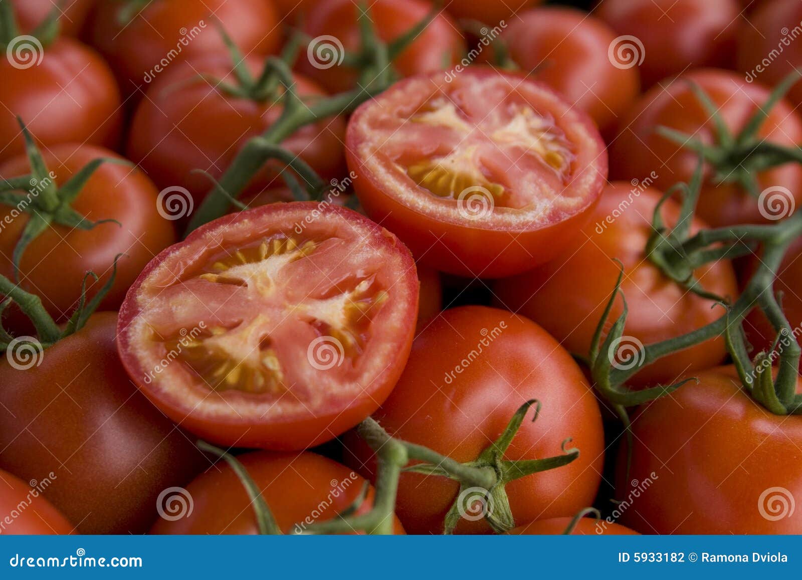 Fresh organic tomatoes stock photo. Image of grow, pick - 5933182