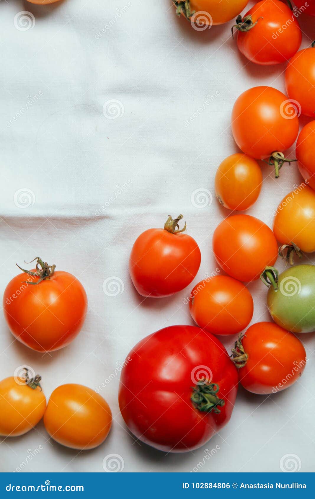 Fresh Organic Tomatoes of Different Colors Stock Photo - Image of meal ...