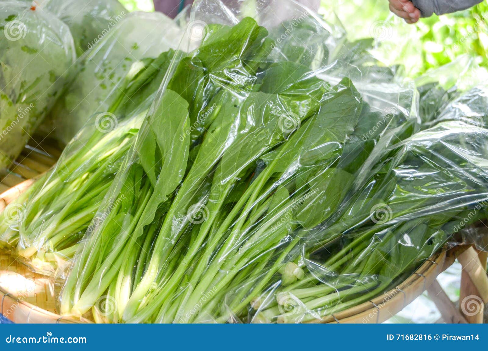 Fresh Organic Vegetables, Canton or Cantonese Stock Photo - Image of ...