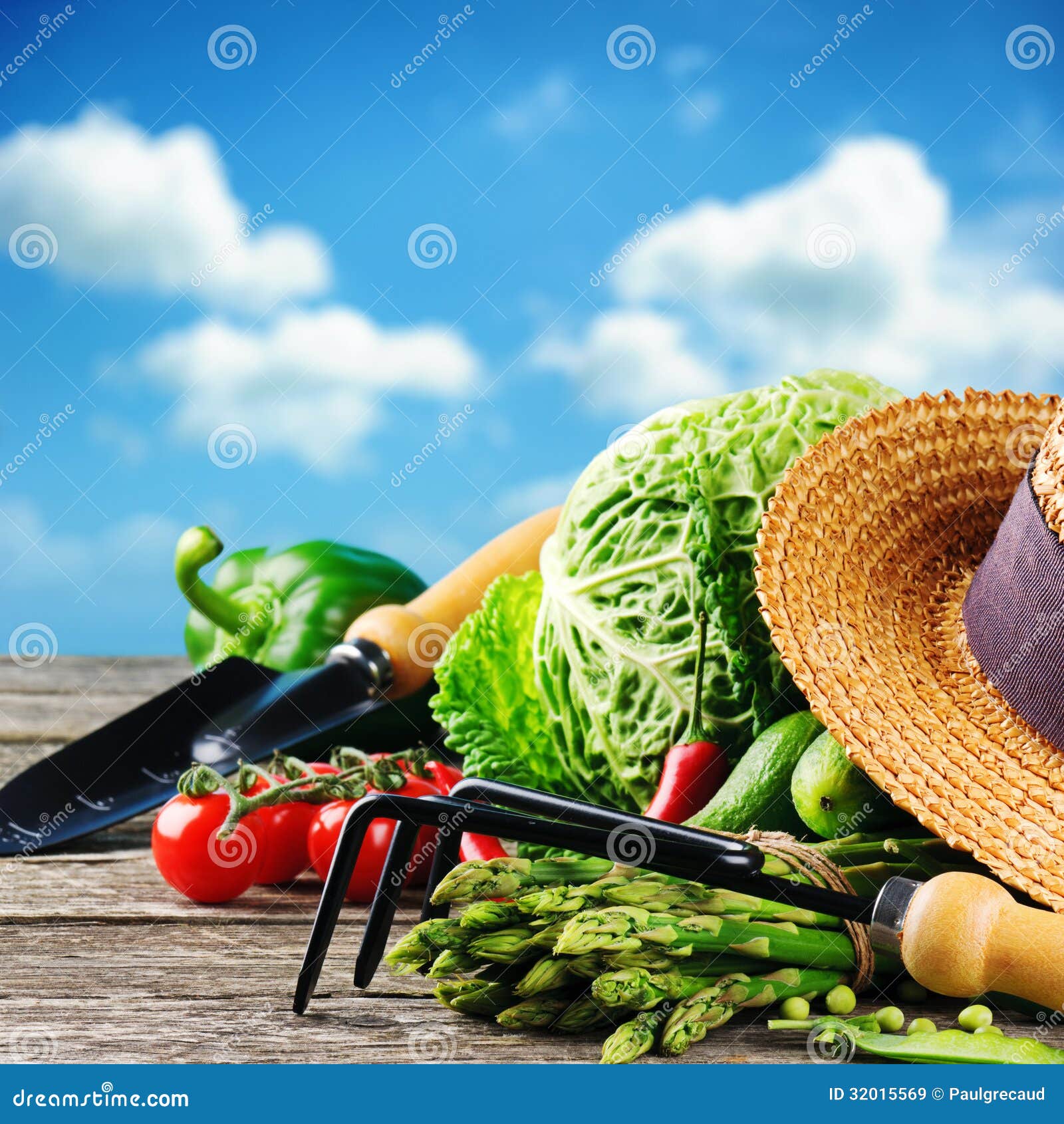 Fresh Organic Vegetables and Garden Tools Stock Image - Image of color ...