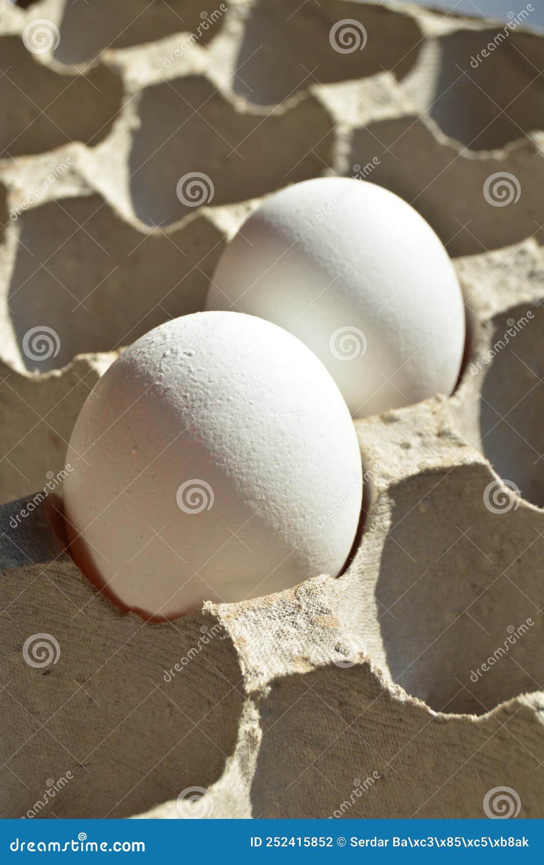 Fresh Organic White Eggs in a Carton Package, Protected Paper Grey Egg ...