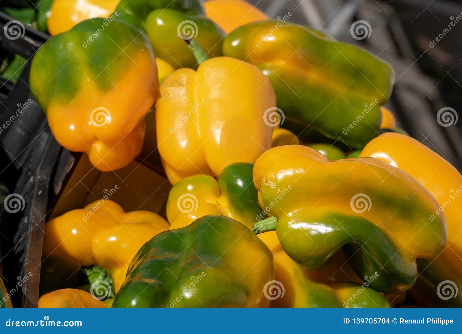 Fresh Organic Yellow Peppers on the Market Stock Photo - Image of ...
