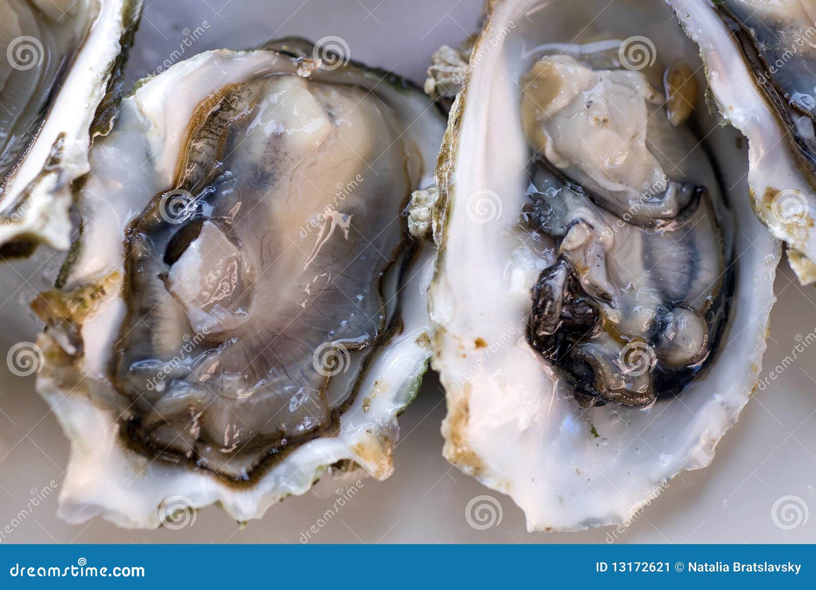 Fresh oyster stock image. Image of seattle, health, cafe - 13172621