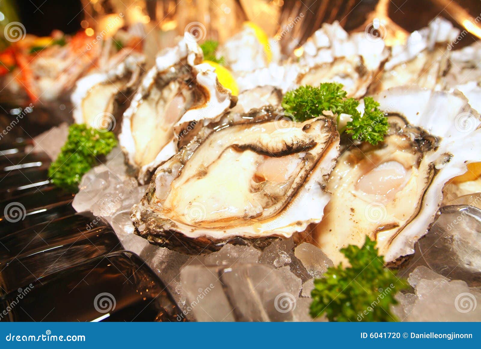 Fresh oyster stock photo. Image of main, flat, cuisine - 6041720
