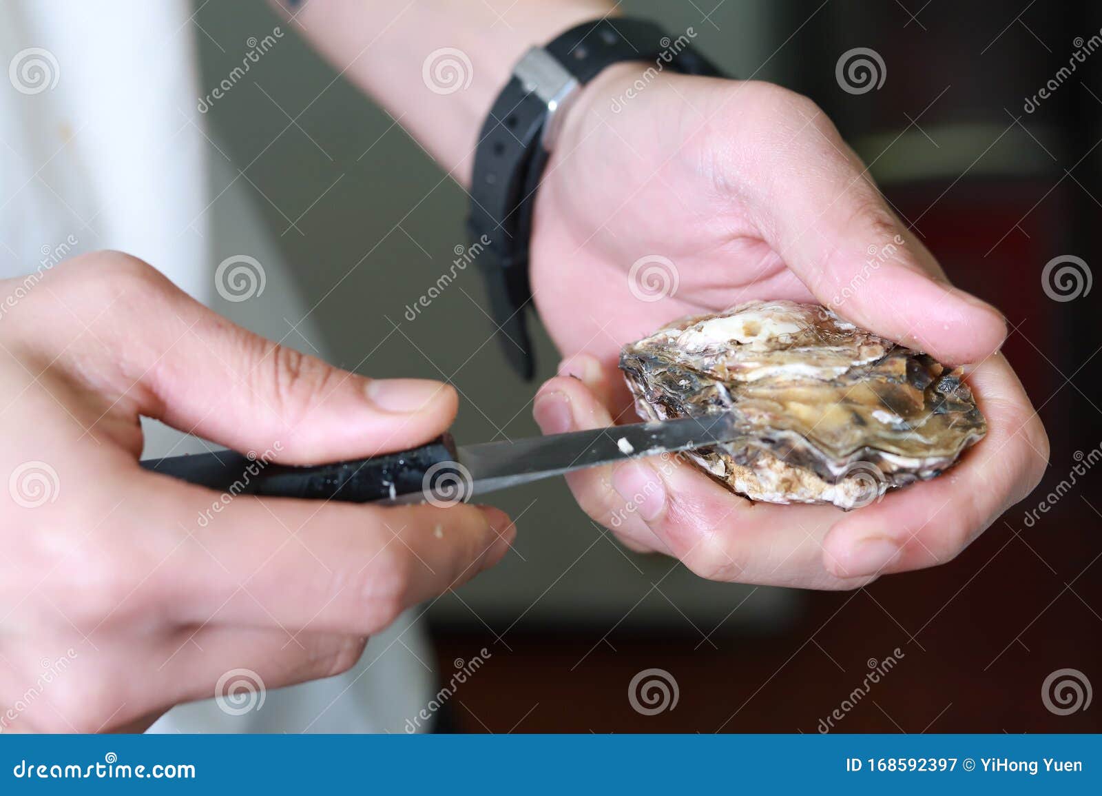Open Osyter from it`s Shell Stock Image - Image of food, close: 168592397
