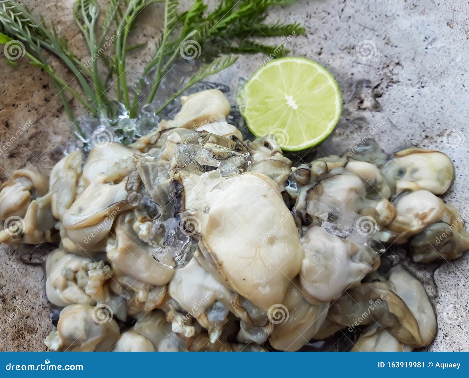 Raw oyster shell stock image. Image of fresh, prepared - 163919981