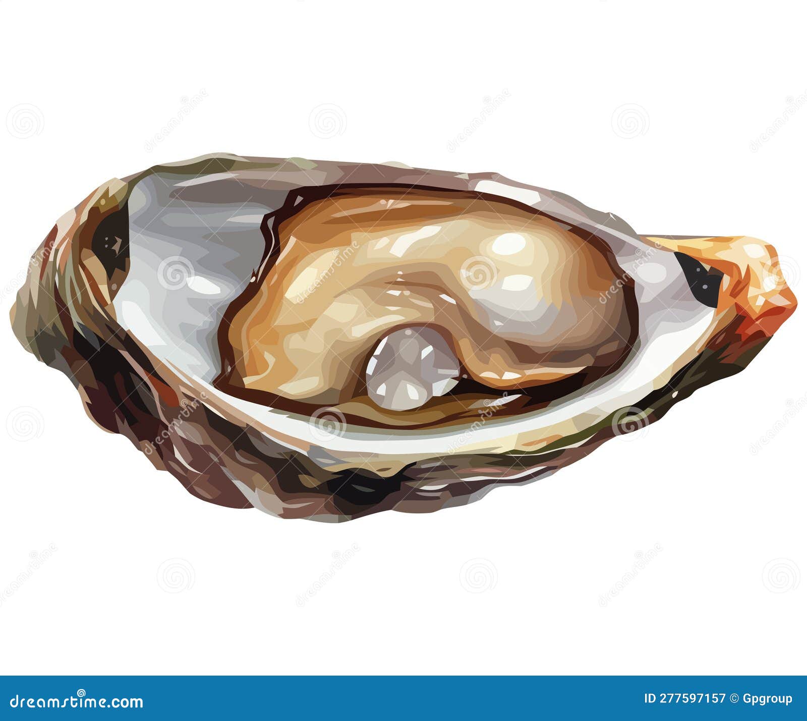 Fresh Oyster Vector Illustration Stock Vector - Illustration of ...