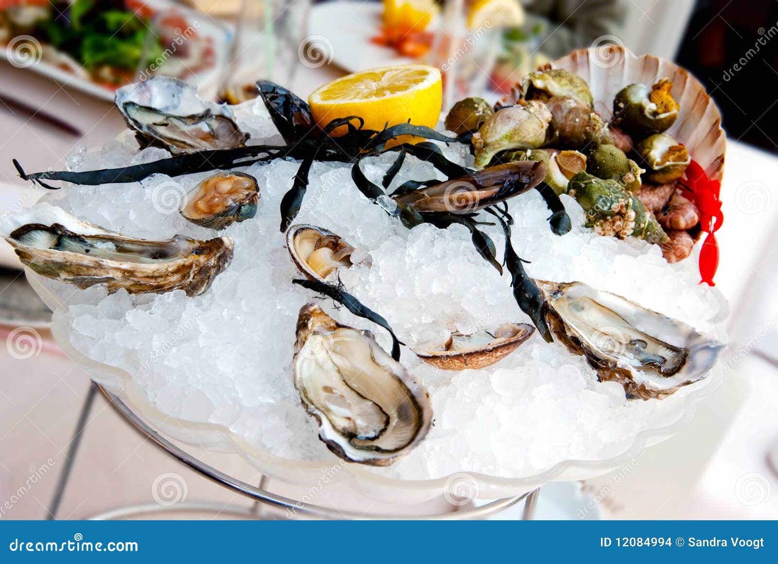Fresh oysters and seafood stock photo. Image of prepared - 12084994