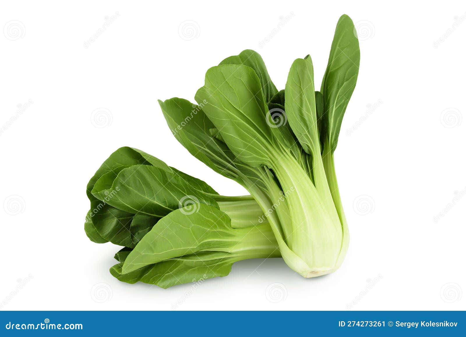 Fresh Pak Choi Cabbage Isolated on White Background with Full Depth of ...