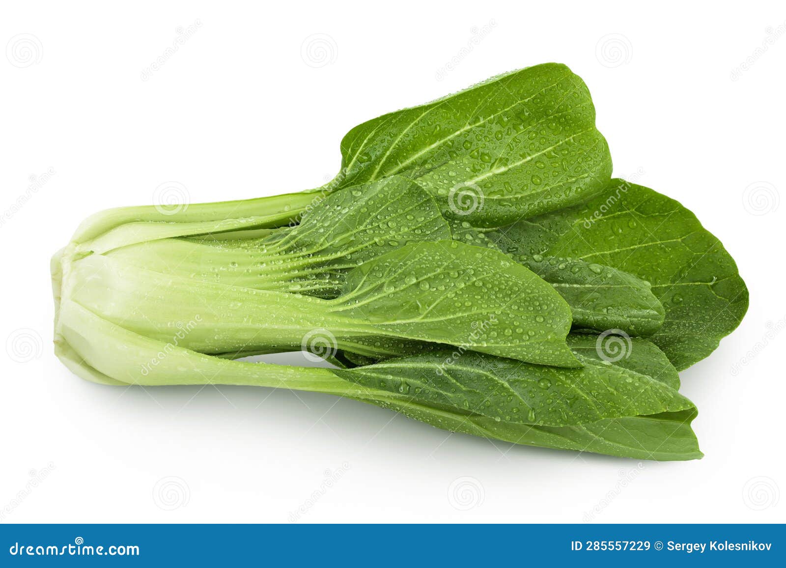 Fresh Pak Choi Cabbage Isolated on White Background with Full Depth of ...