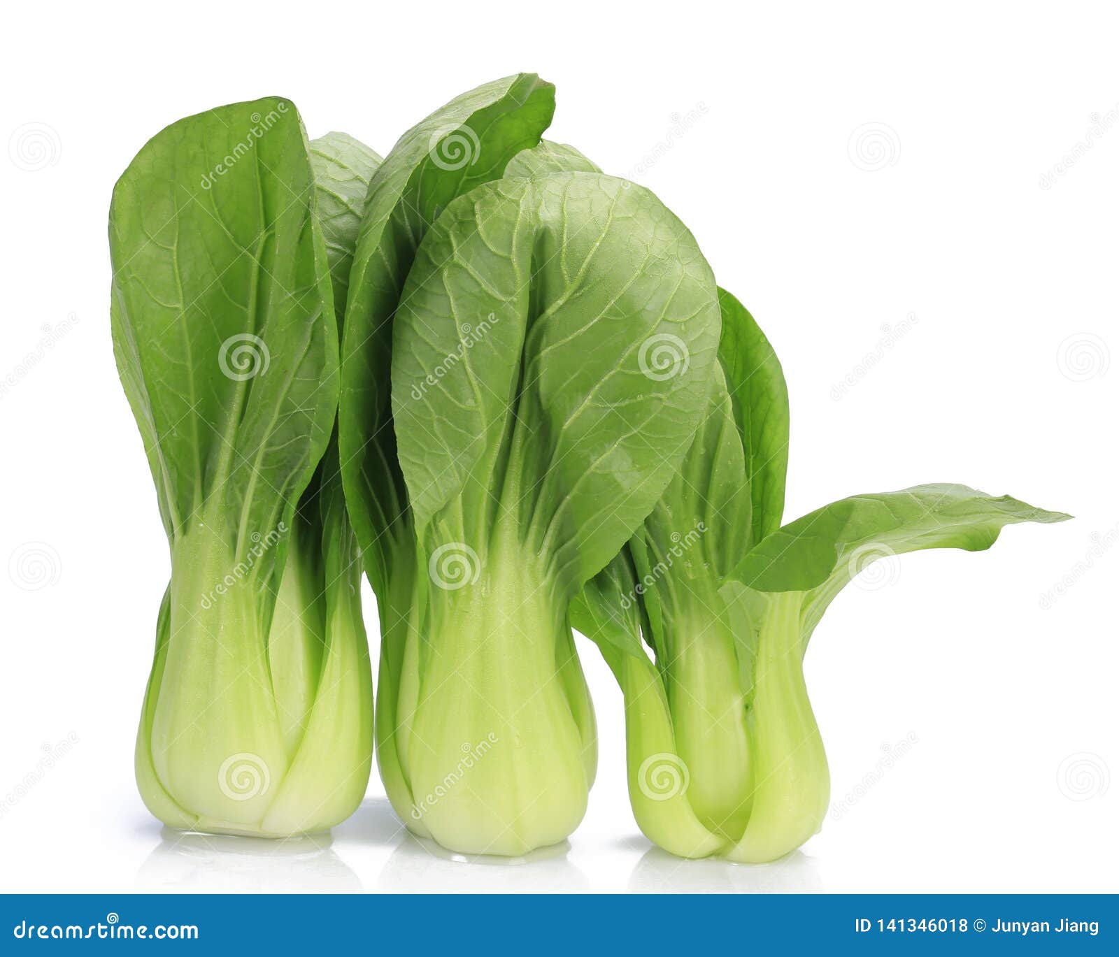 Pak Choi Stock Photo | CartoonDealer.com #3798000