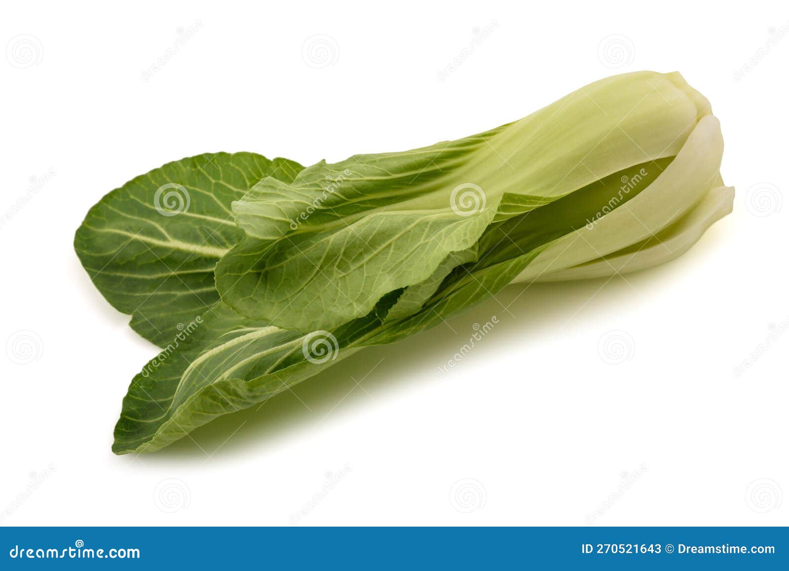 Fresh Pak choi stock image. Image of nature, kitchen - 270521643