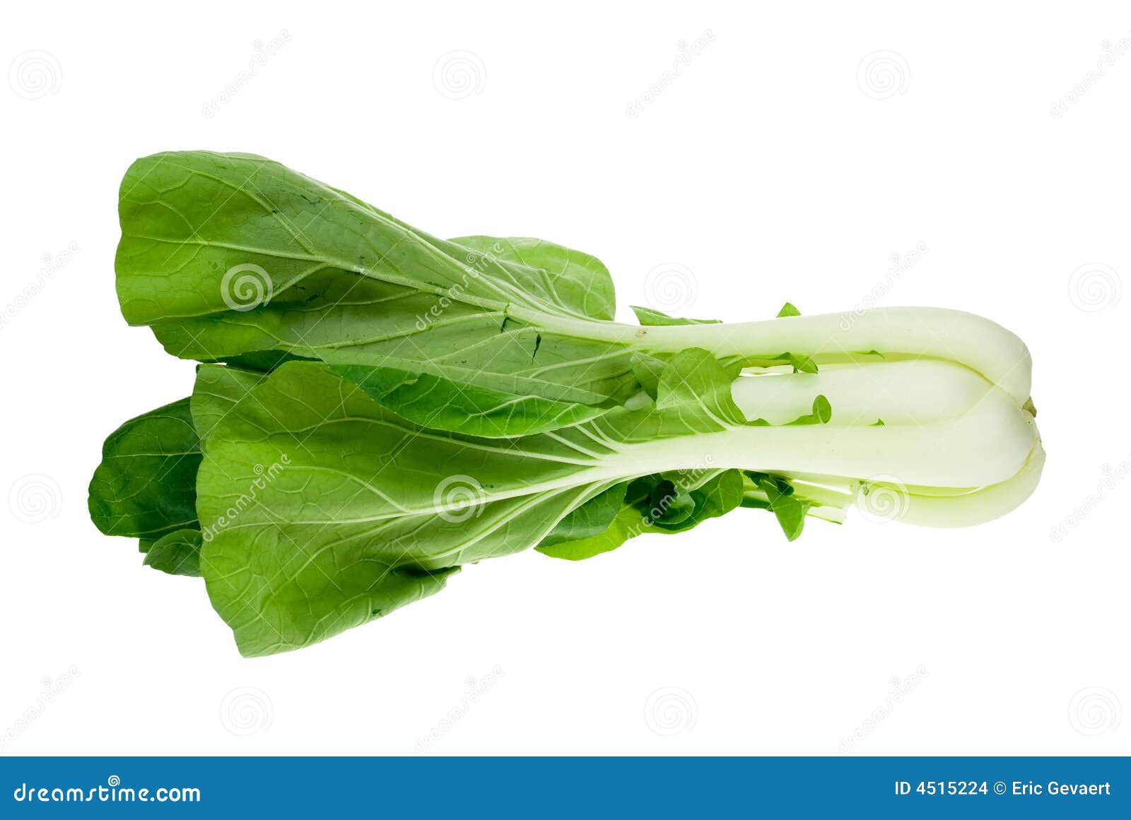 Fresh pak Choy stock photo. Image of healthy, chinese - 4515224