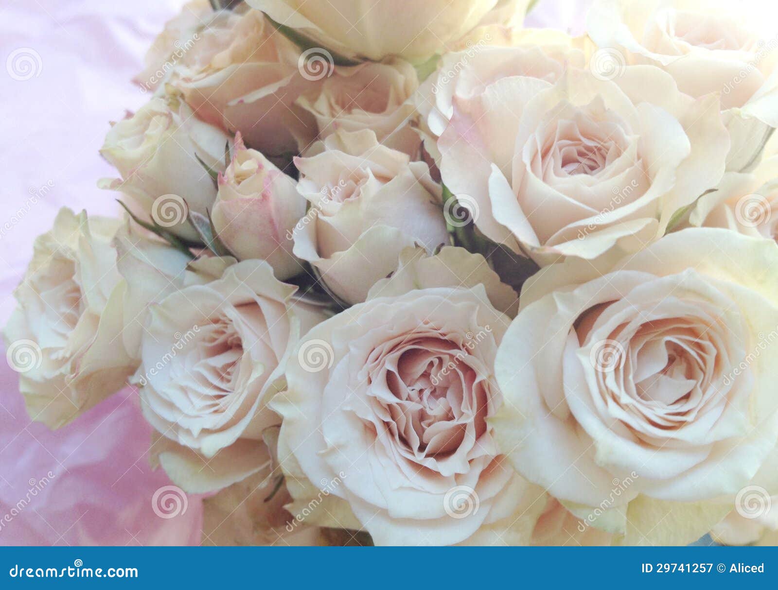 Fresh pink rose bouquet stock image. Image of petals - 29741257