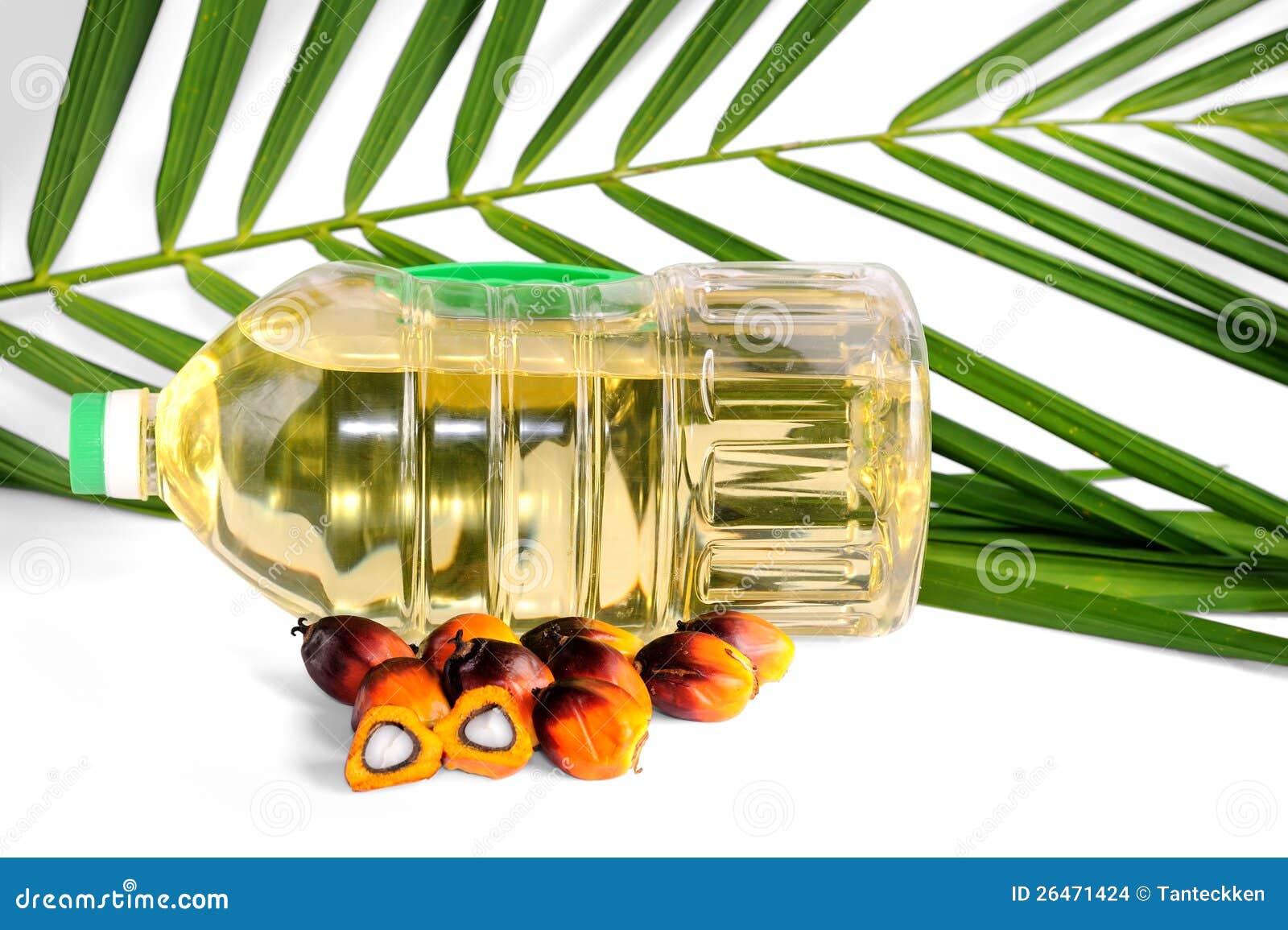 Fresh Palm Oil seeds stock photo. Image of backgrounds - 26471424