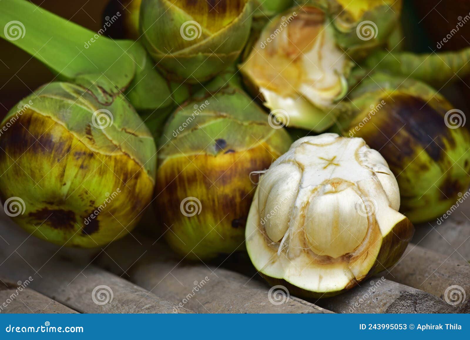 Fresh Palmyra Palm Fruit and Shell of Palmyra Palm. Asian Toddy Palm ...