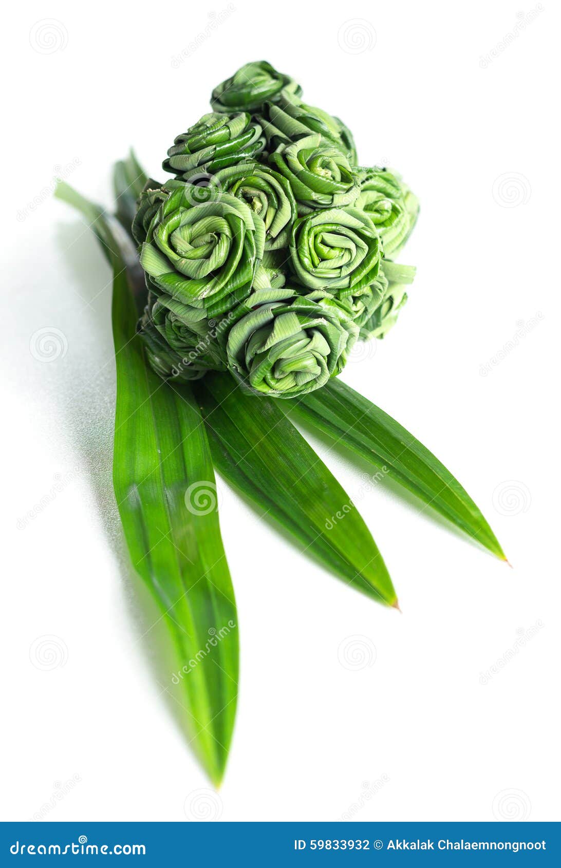 Fresh Pandanus Leaf Weave To Rose Bouquet Stock Photo - Image of palm ...