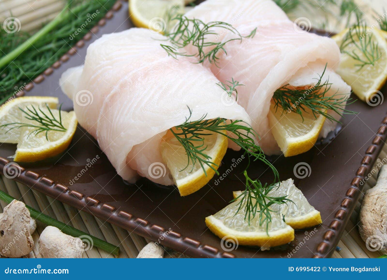 Fresh pangasius fish stock photo. Image of pangasius, fish - 6995422