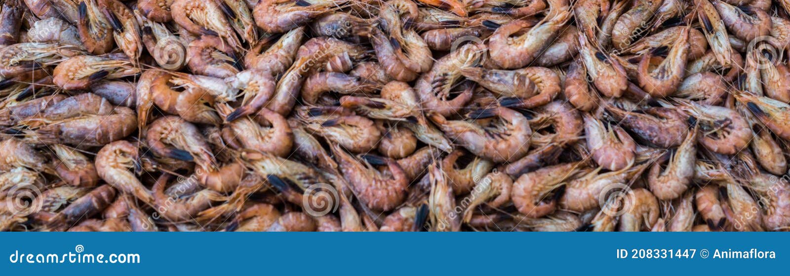 Fresh Panorama Crabs Texture Background Stock Image - Image of animal ...