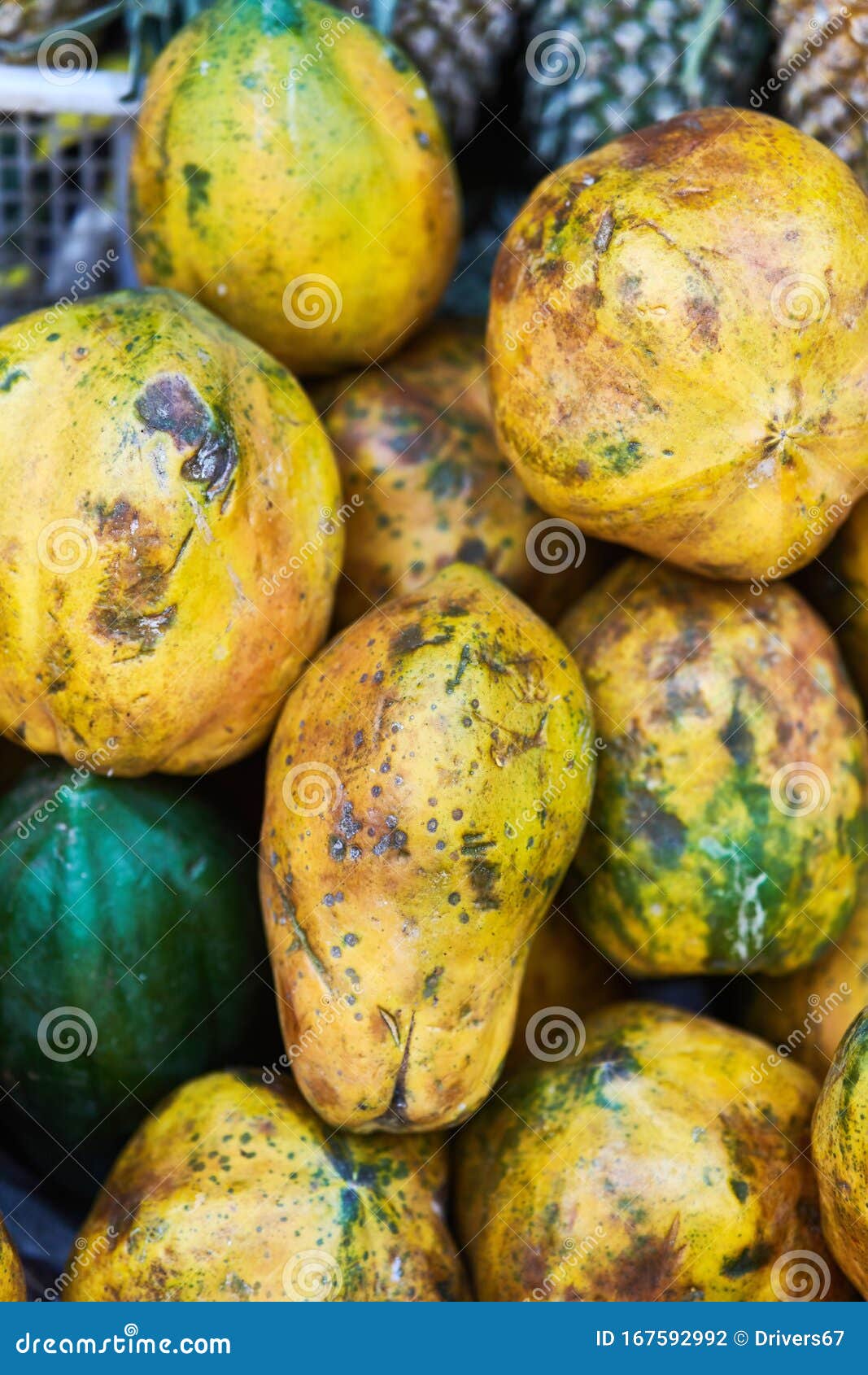 Fresh Papaya on a Shelf in a Supermarket Stock Photo - Image of ...