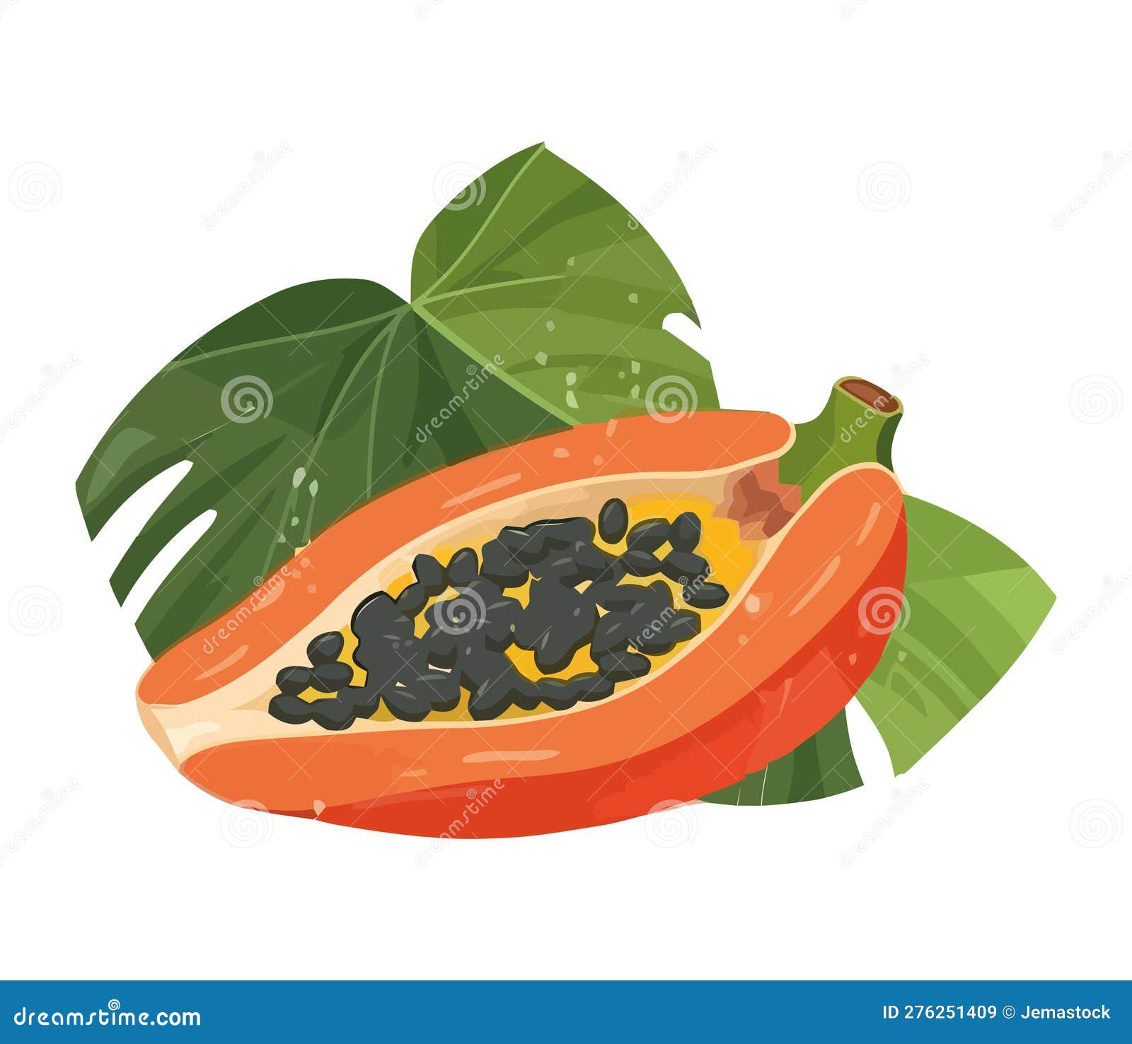 Fresh Papaya Slice, Symbol of Healthy Eating Stock Vector ...