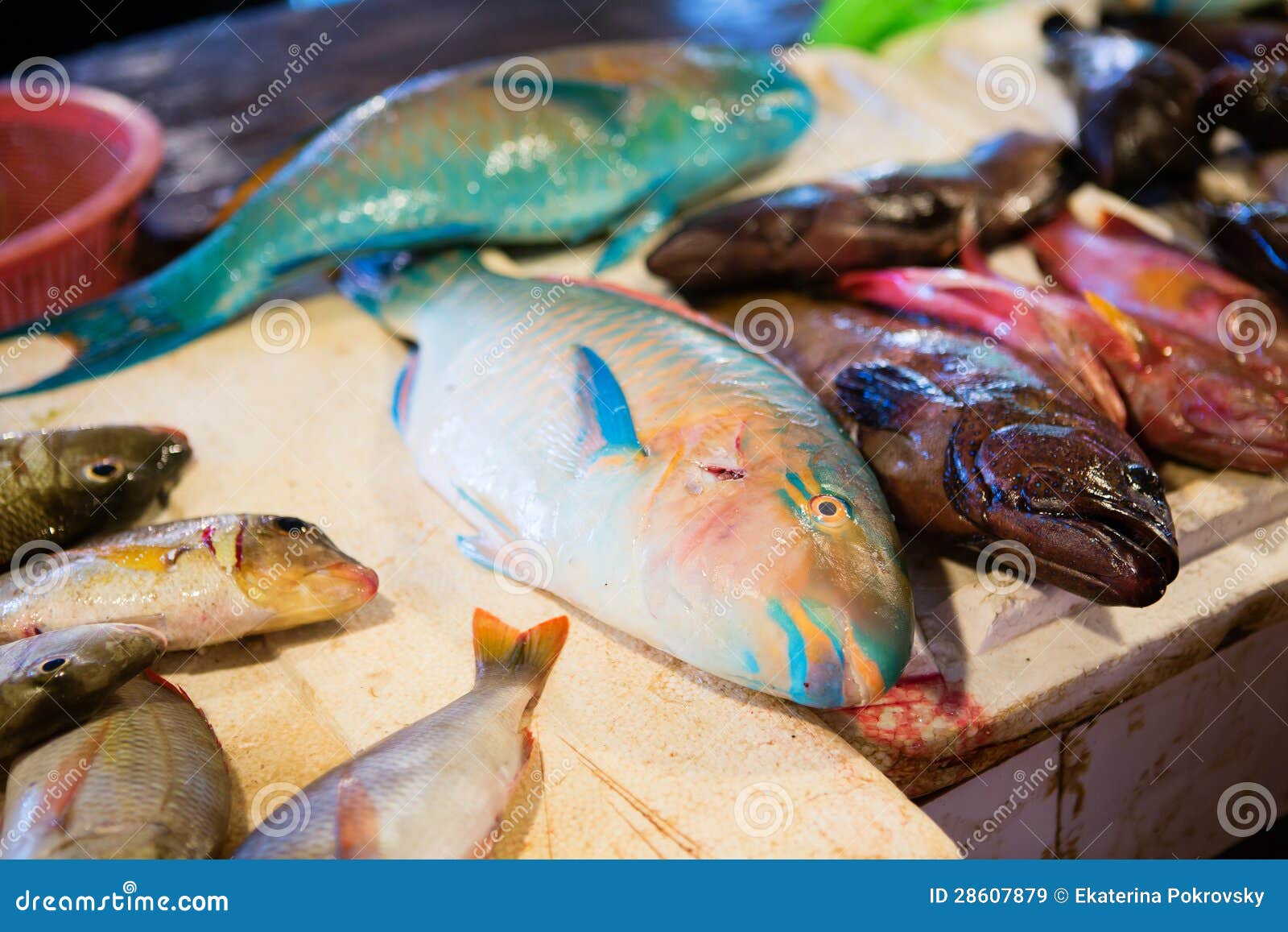 Fresh Parrot Fish on Seafood Market Stock Image - Image of asia, fresh ...