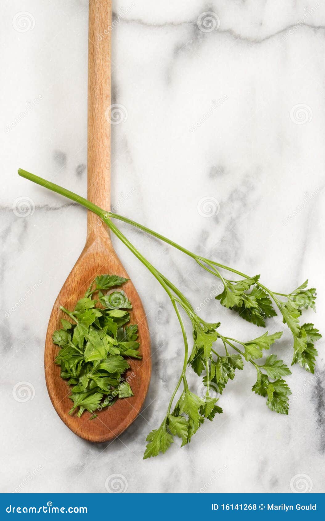Fresh Parsley stock photo. Image of fresh, wooden, food - 16141268