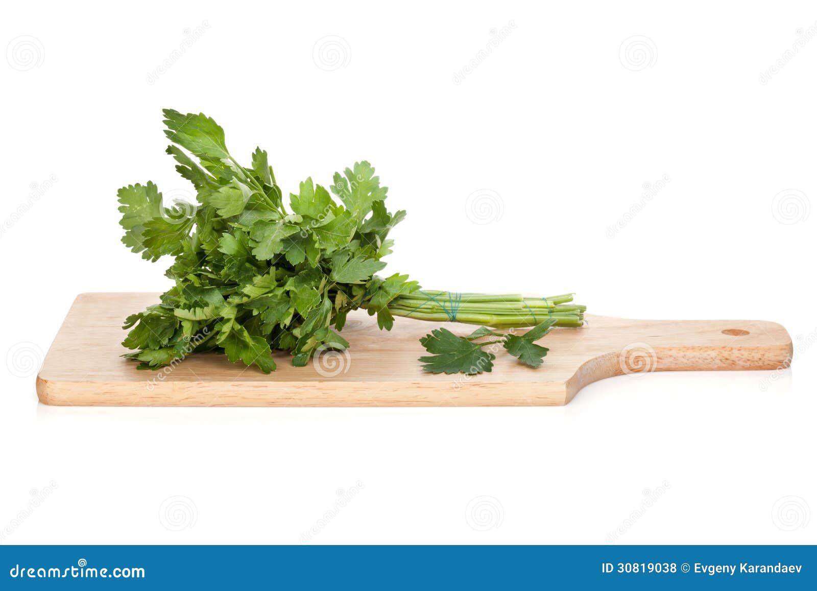 Fresh parsley bunch stock photo. Image of herb, flavor - 30819038
